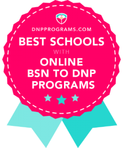 19 Best Online BSN to DNP Programs - DNPPrograms.com